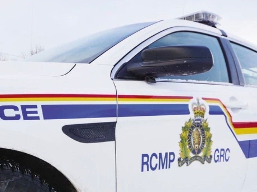 Man and woman killed when motorcycle hit a cow on Sask. highway | The ...