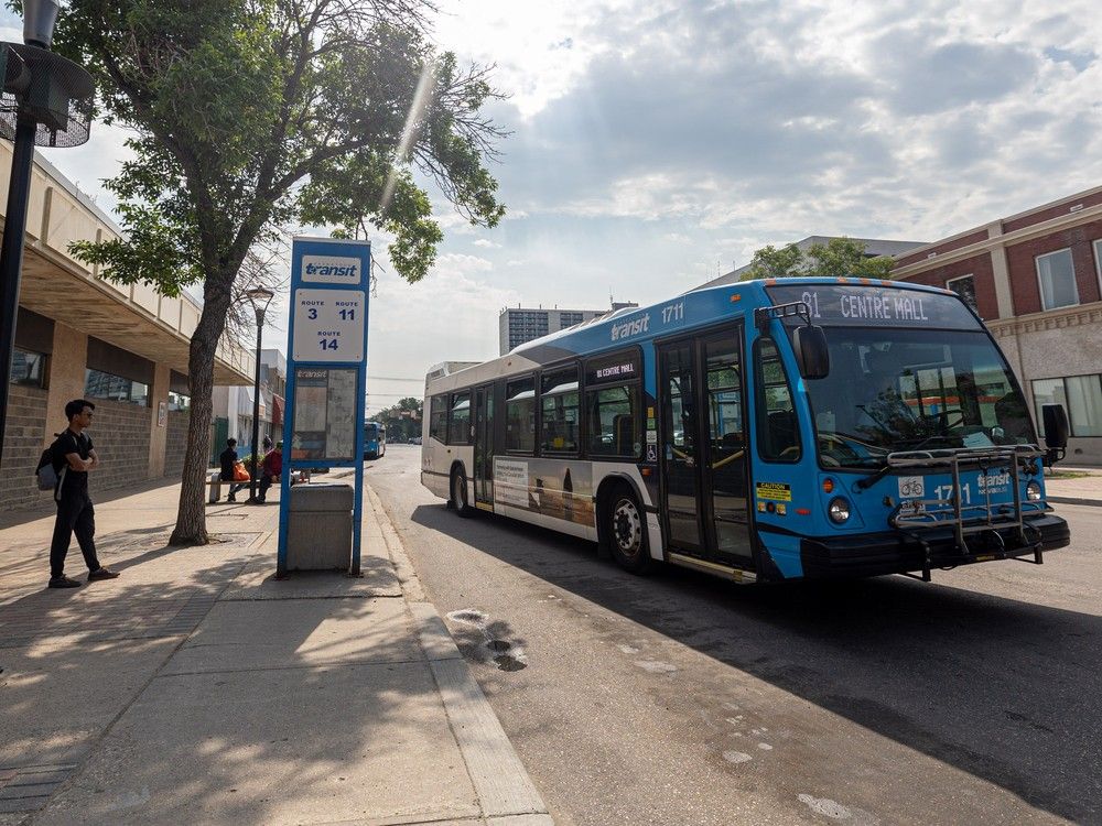 Tank: Bus rides surge in Saskatoon despite transit turmoil | The Star ...