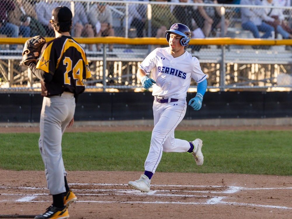 Carter Beck relishes role at top of lineup to spark Berries | The Star ...