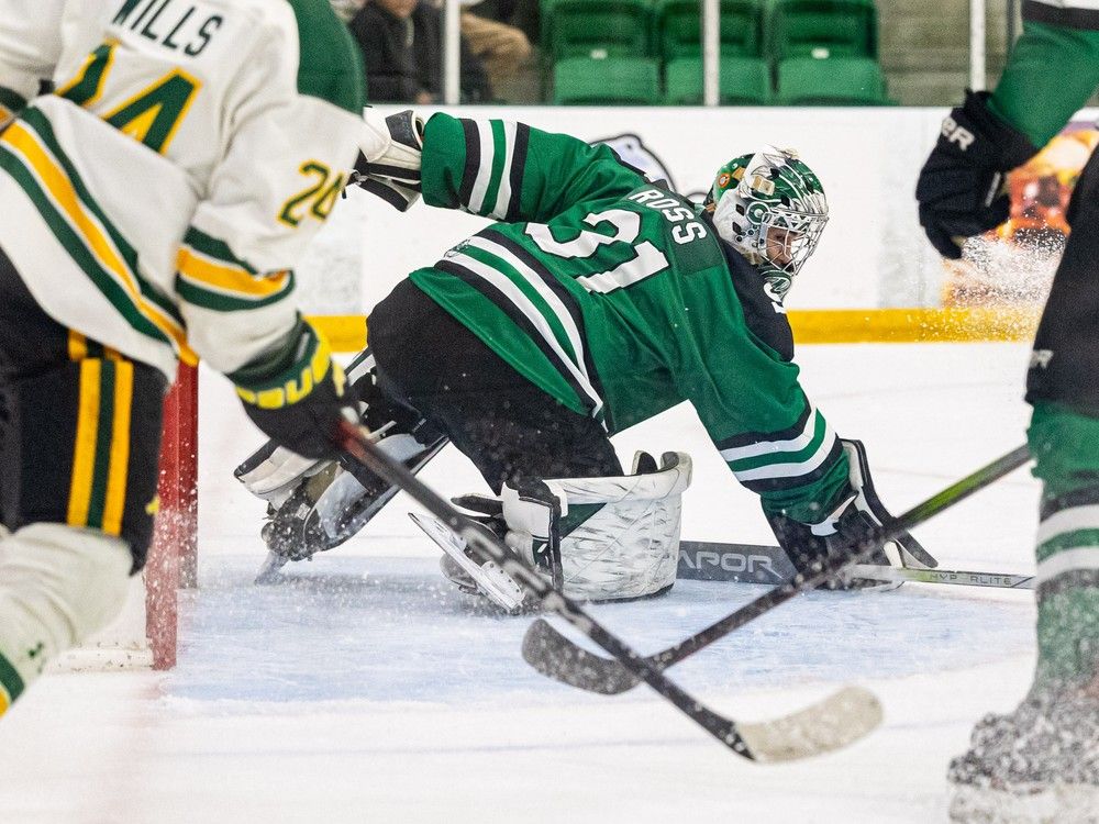Dogs and Cats: U of S Huskies win season-opener over Regina Cougars ...