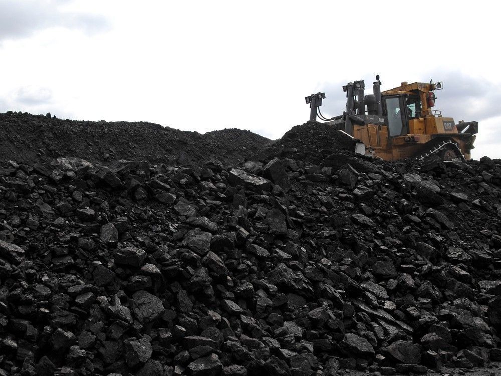 Sol Sanderson fighting for the future of First Nations people | The ...