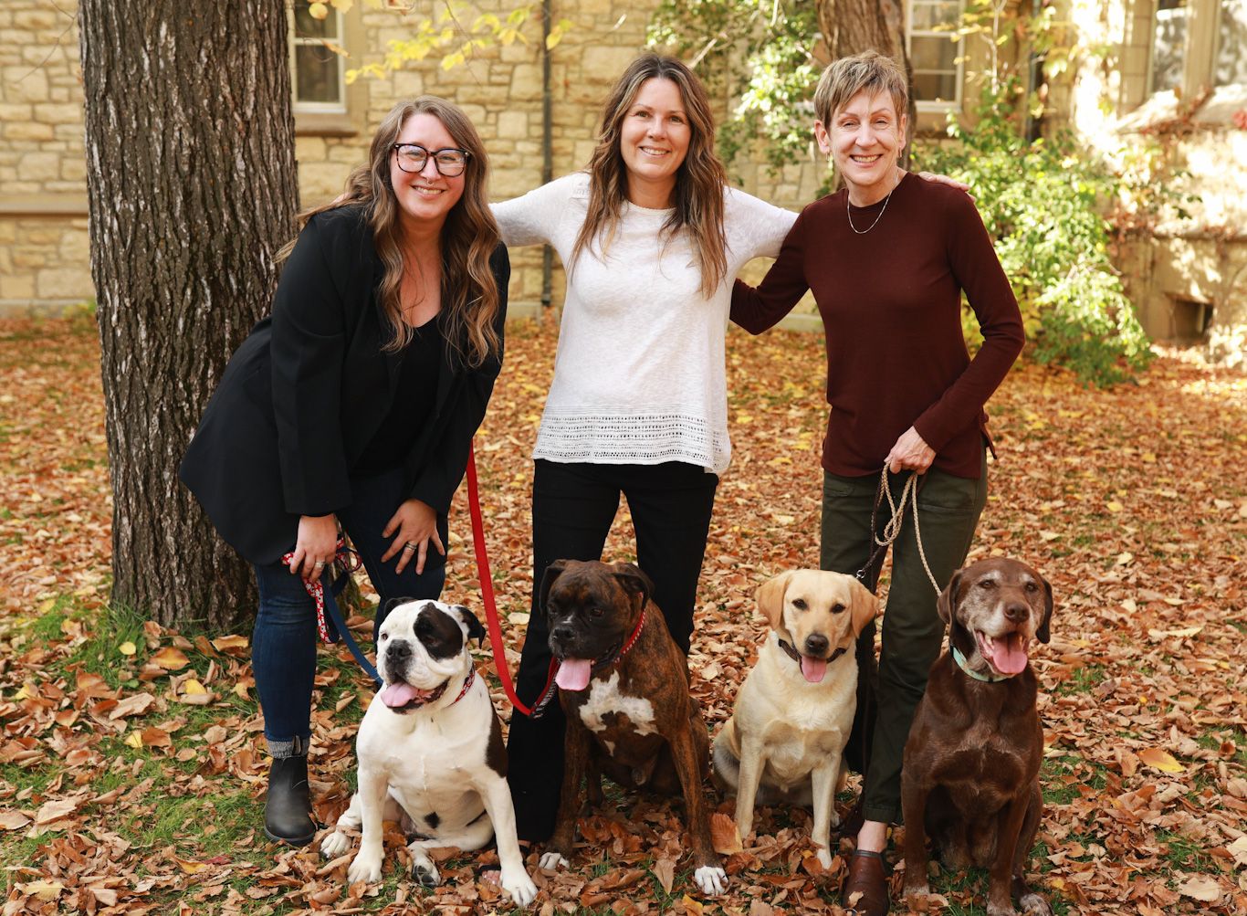 The power of connection between humans and pets | The Star Phoenix