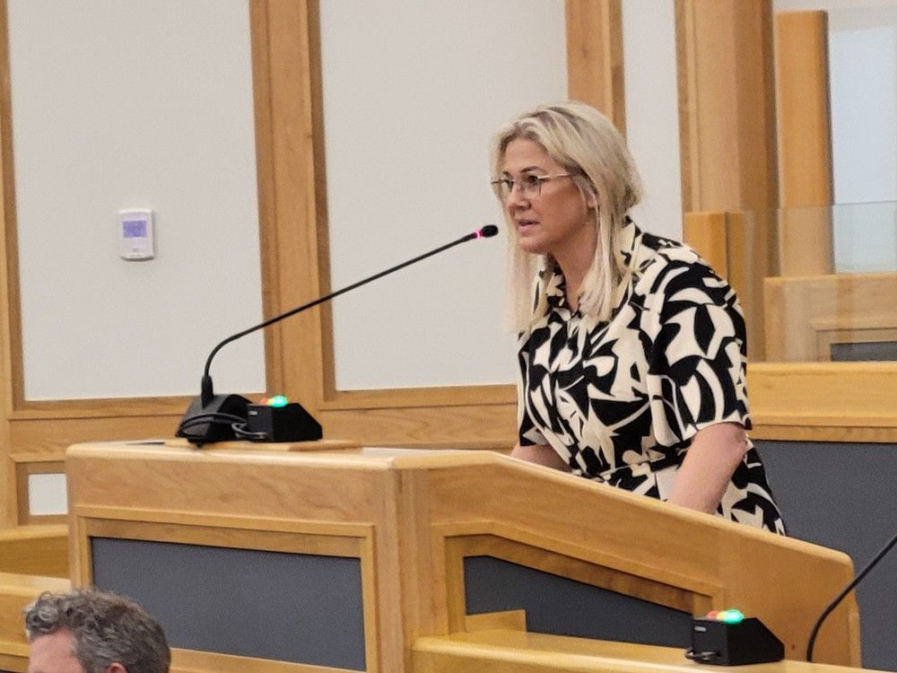 Crime, bench removal and permanent shelters discussed at city hall ...