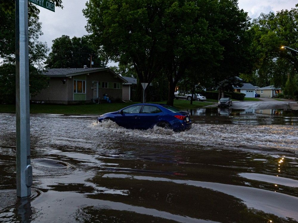 Disaster assistance could be available in Saskatoon after August flood ...