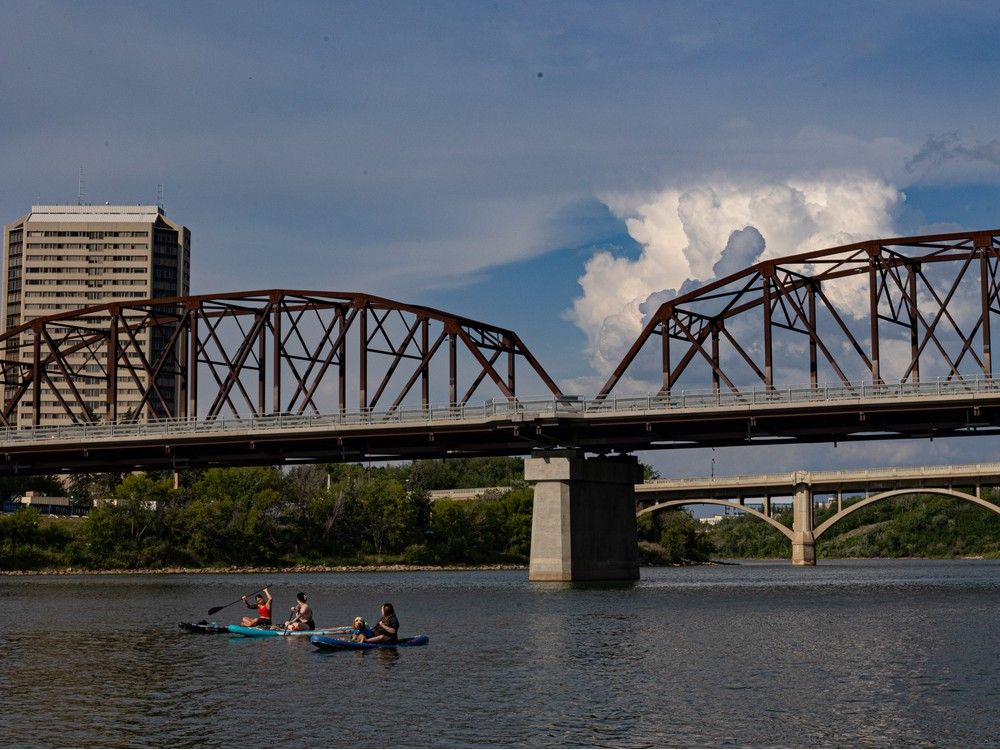 Local, organic offerings at Saskatoon's Pique coffee shop and bakery ...