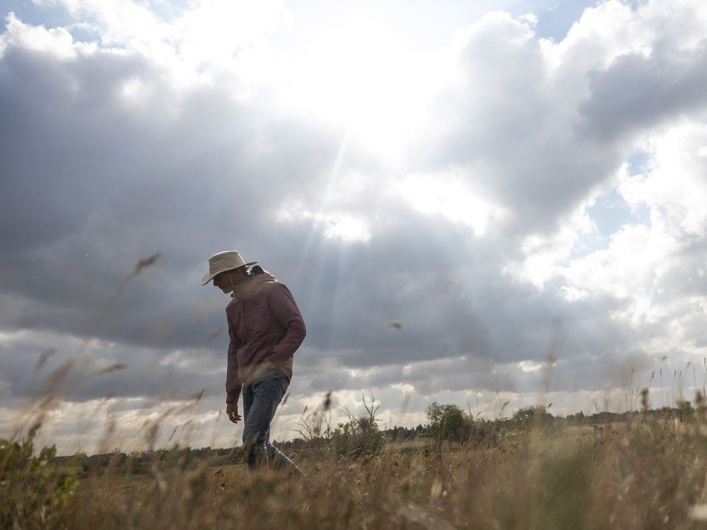 Local, organic offerings at Saskatoon's Pique coffee shop and bakery ...