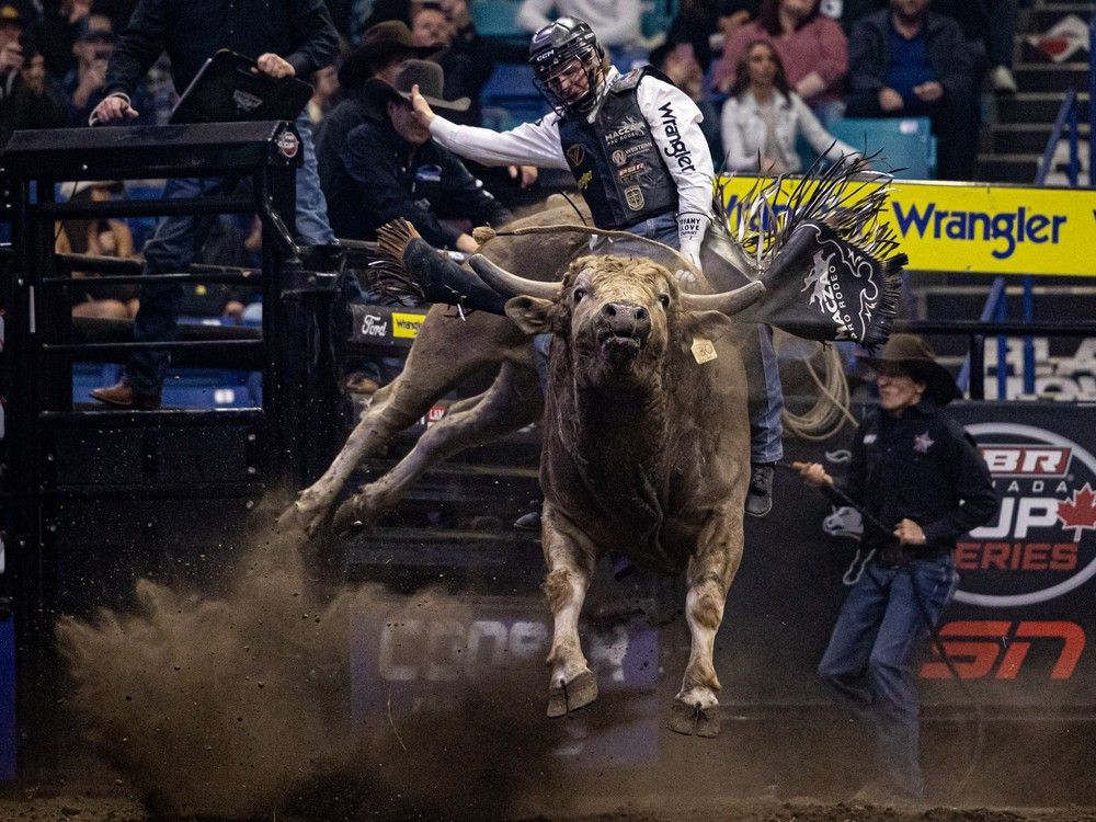 A community in photos: Looking back at October 2025 in Saskatoon | The ...