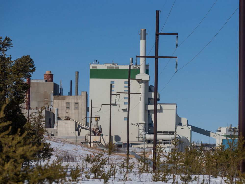 Ontario company plans to repurpose long-dormant Sask pulp mill | The ...