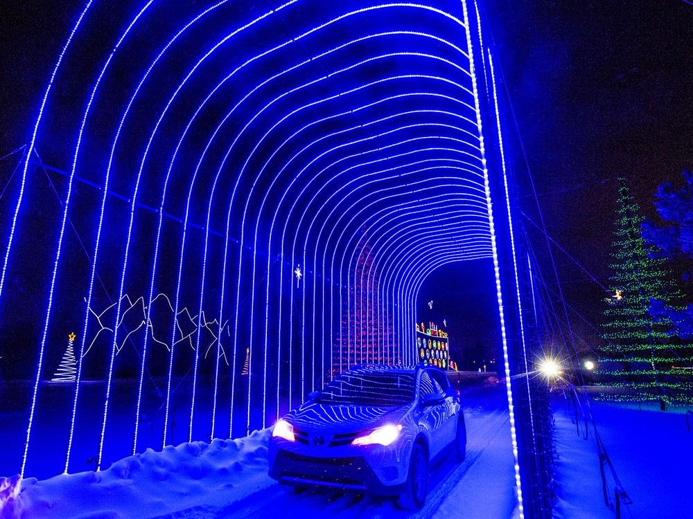 What to know about this year's BHP Enchanted Forest | The Star Phoenix