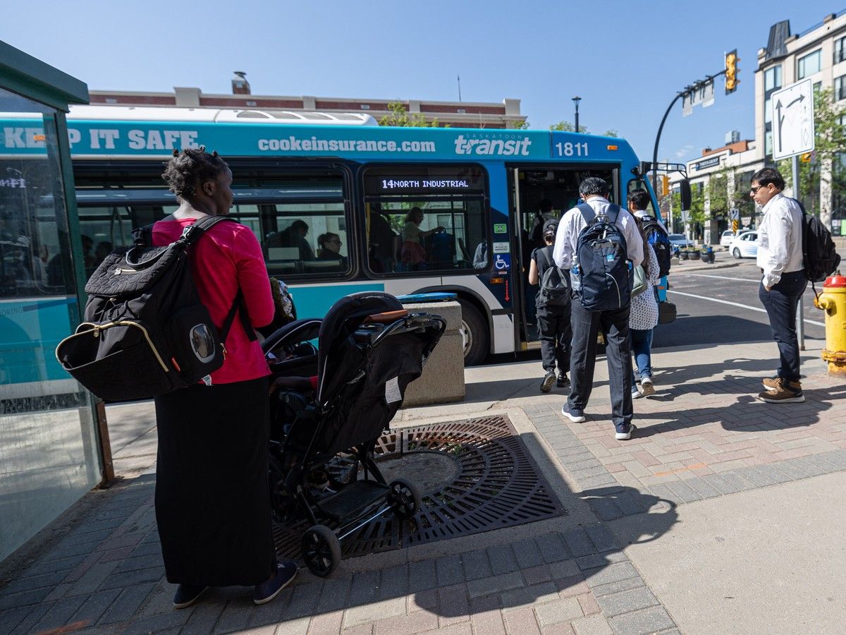 Snakes, rabbits and cats, oh my: Pets on city buses concern councillors ...