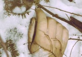 CRIME HUNTER: Janet Chandler's double life meant it took cops 30 years ...