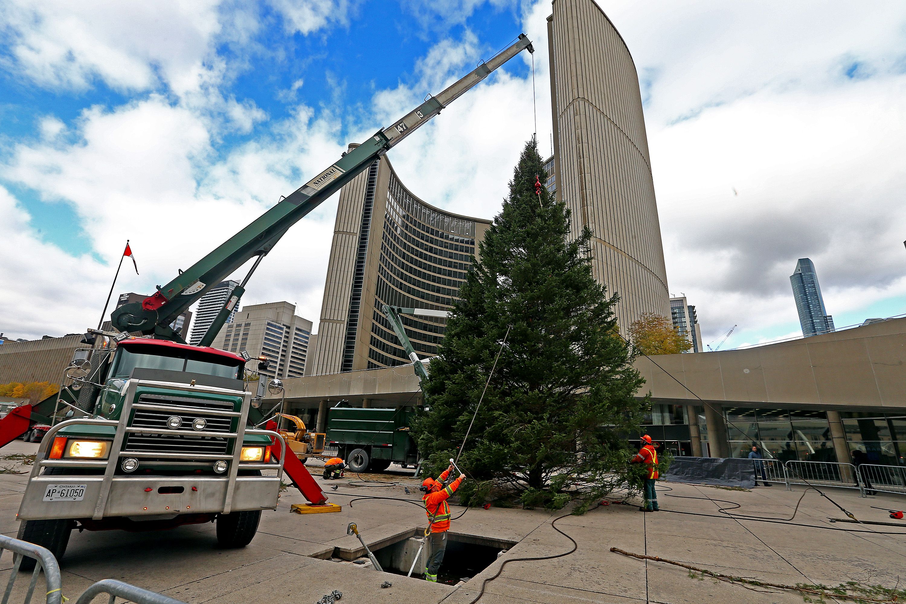 Sure sign of Christmas in Toronto? The giant tree, of course! | Toronto Sun