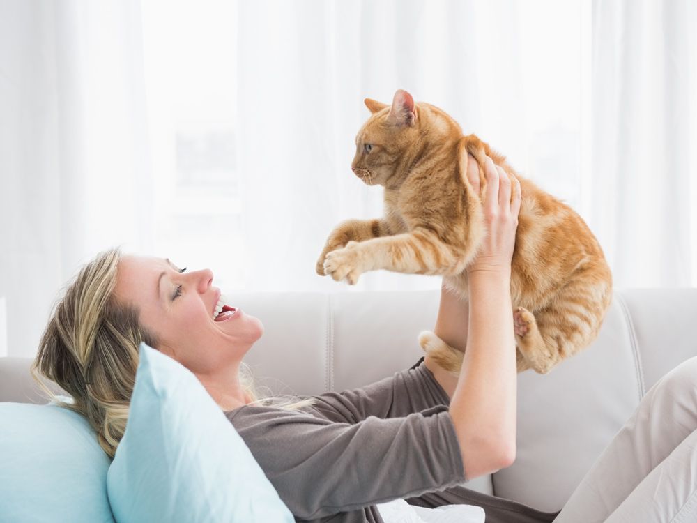 ASK AMY: Cat ladies prefer cats to family members | Toronto Sun
