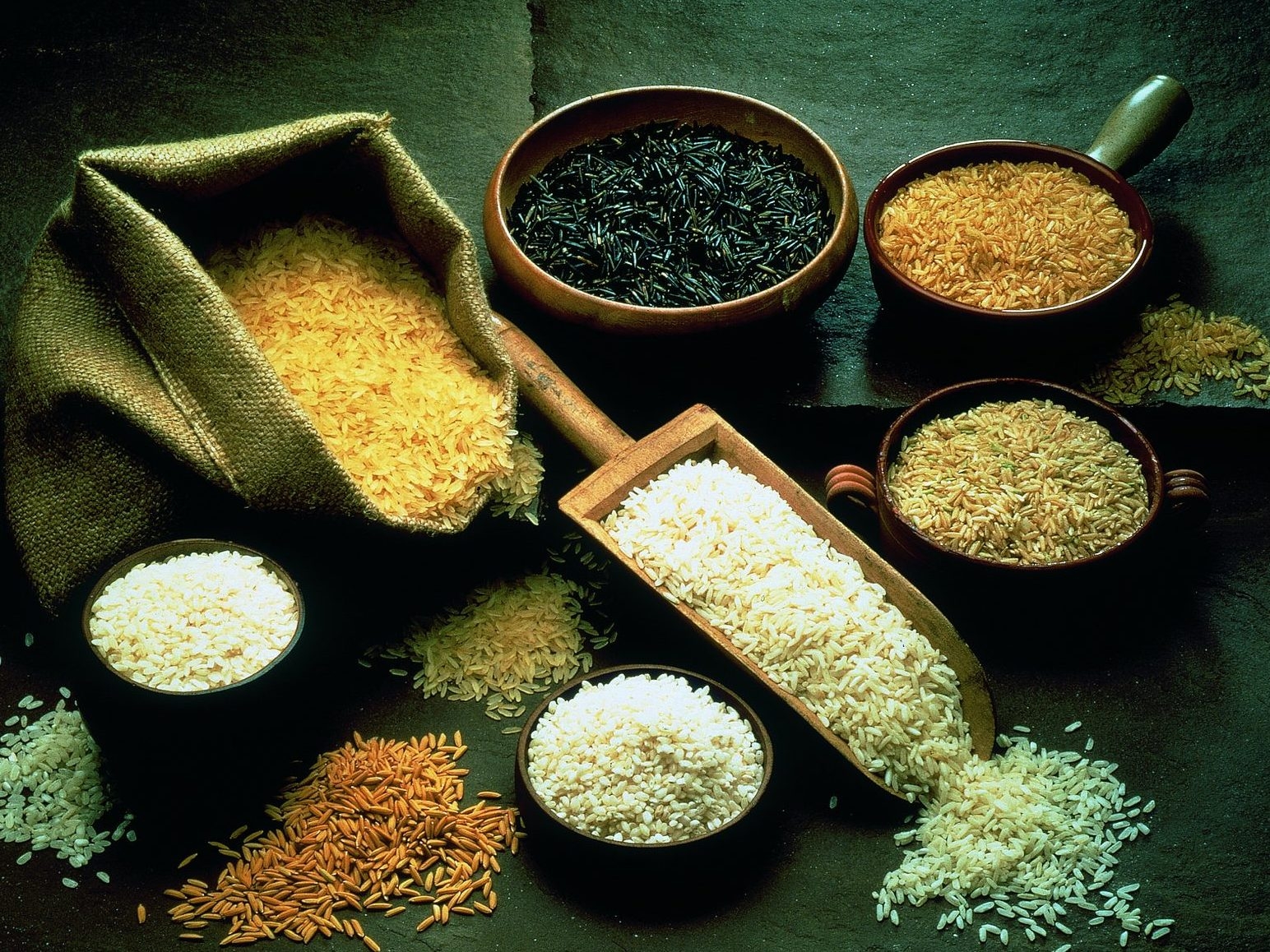 Raring to rice! | Toronto Sun