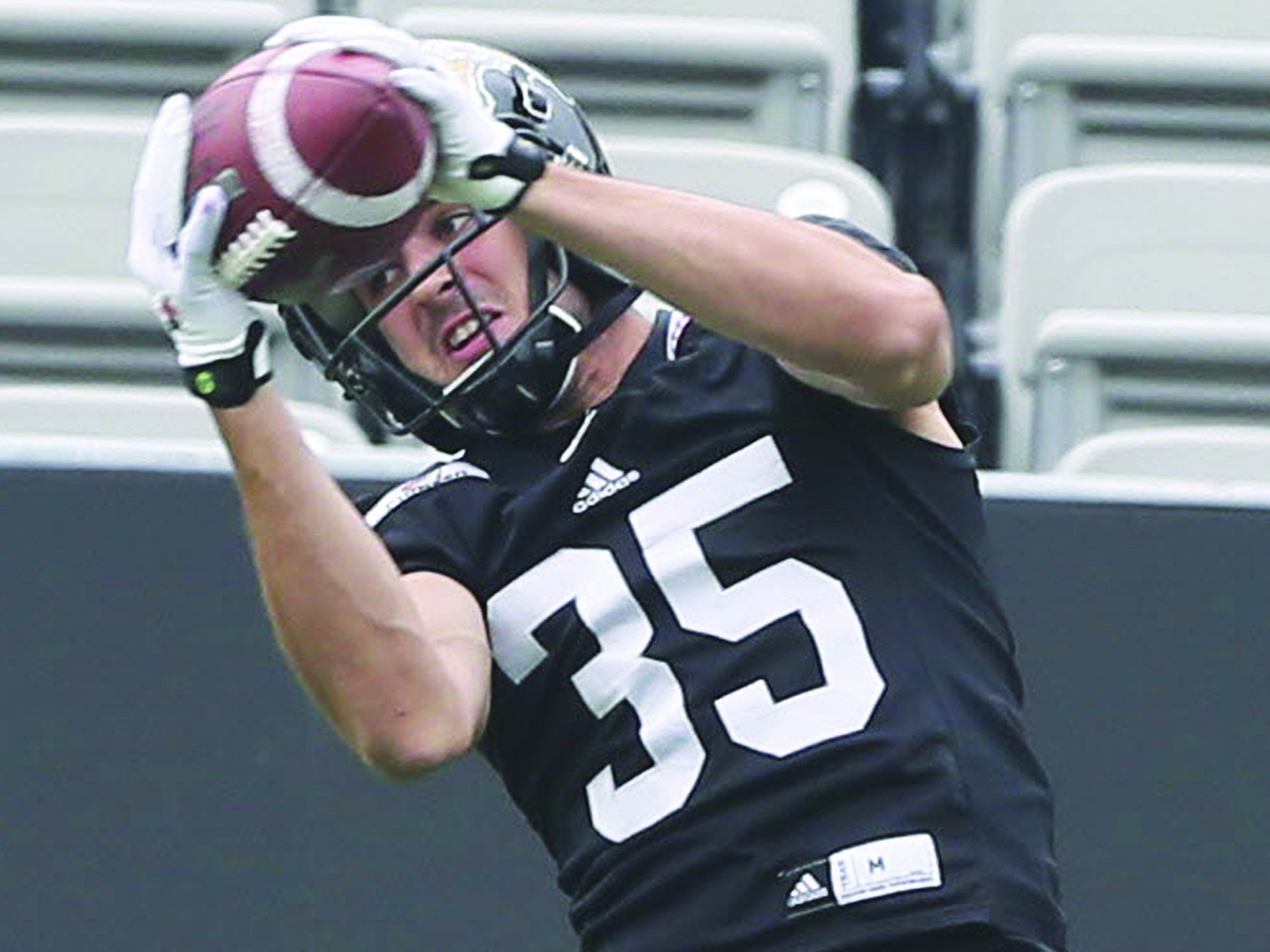 Bigger role but most importantly full health for Ticats' Daly in 2018 ...