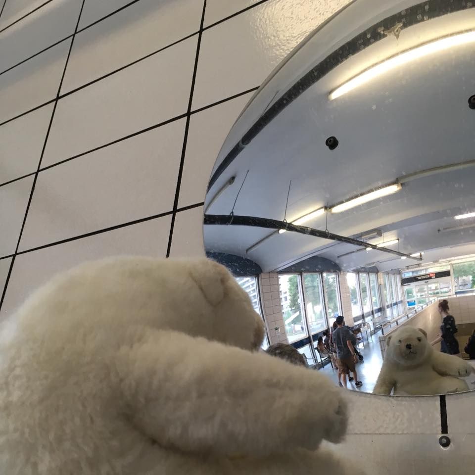 Quest to reunite teddy bear left on TTC subway | Toronto Sun