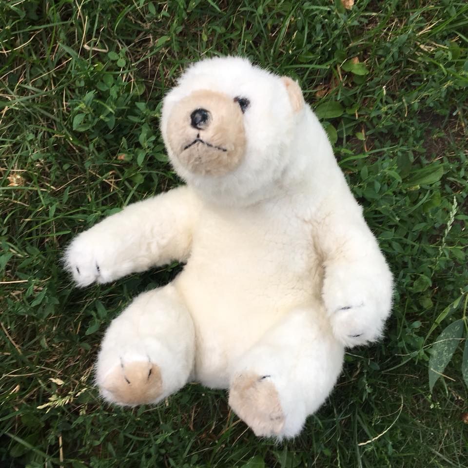 Quest to reunite teddy bear left on TTC subway | Toronto Sun