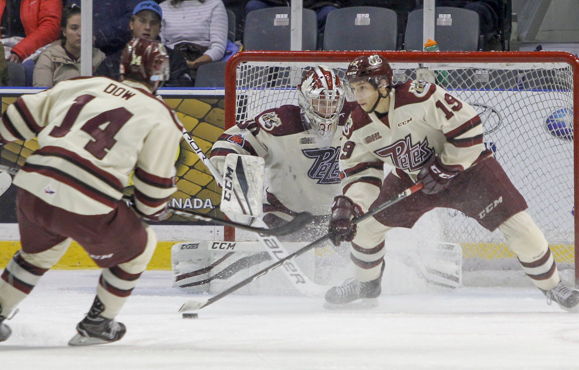 'Sam' can take care of himself | Toronto Sun