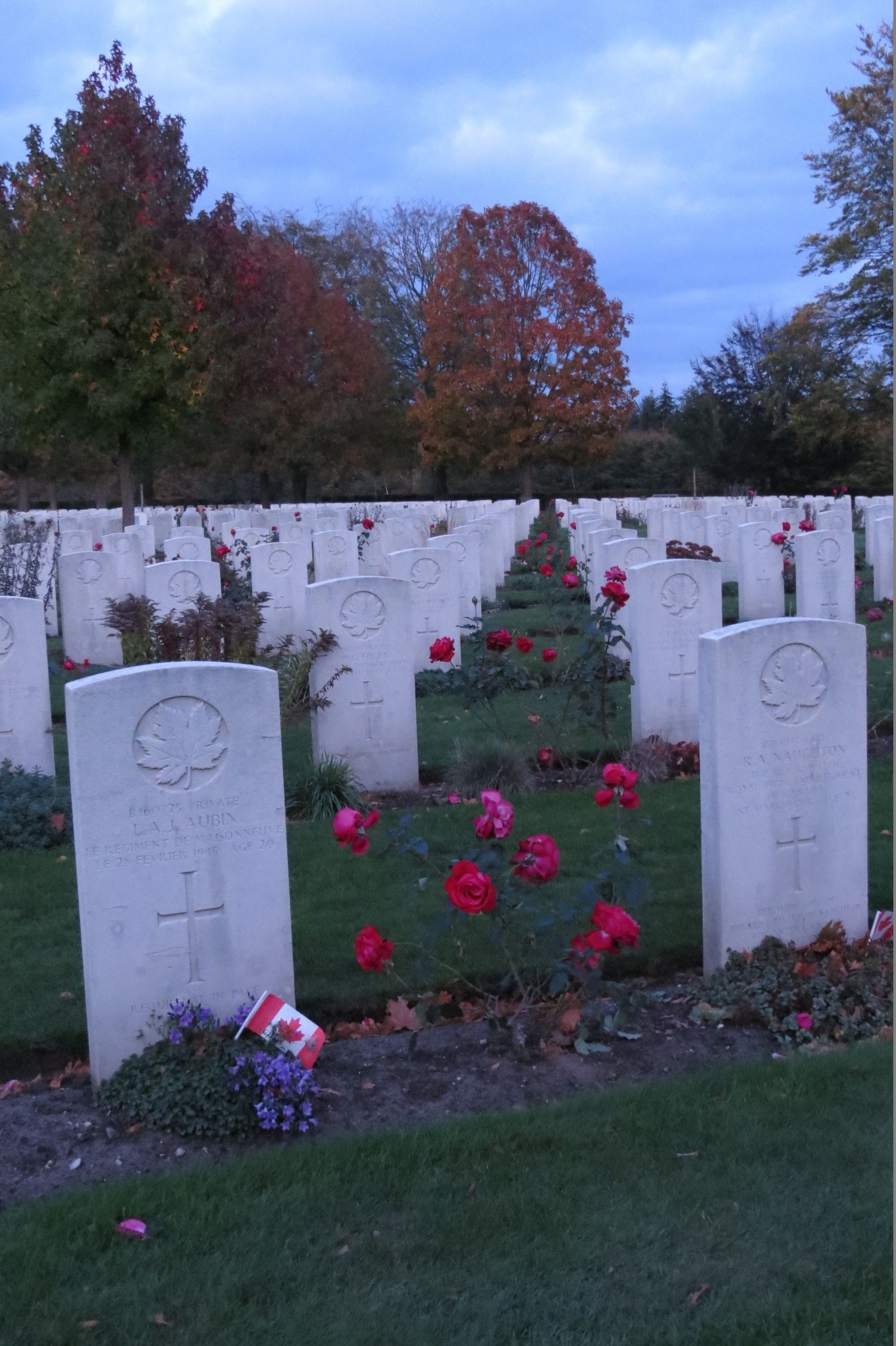 Living history via free Ancestry access to military records | Toronto Sun