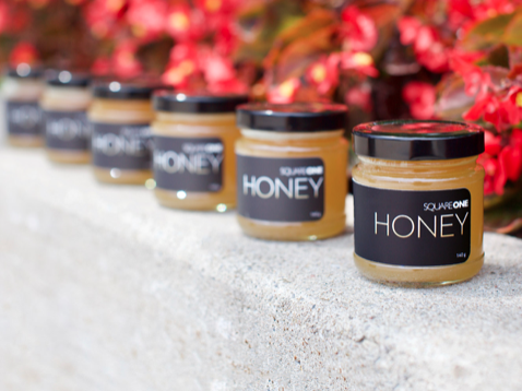 Bee my honey for the holidays at Square One | Toronto Sun