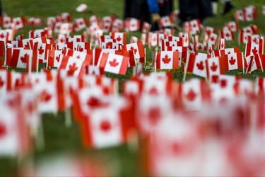 PHOTOS: 47,500 flags at Sunnybrook Veterans Centre | Toronto Sun