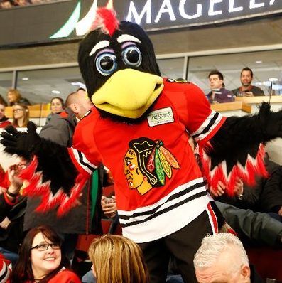 Blackhawks mascot Tommy Hawk brawls with boozy fan | Toronto Sun
