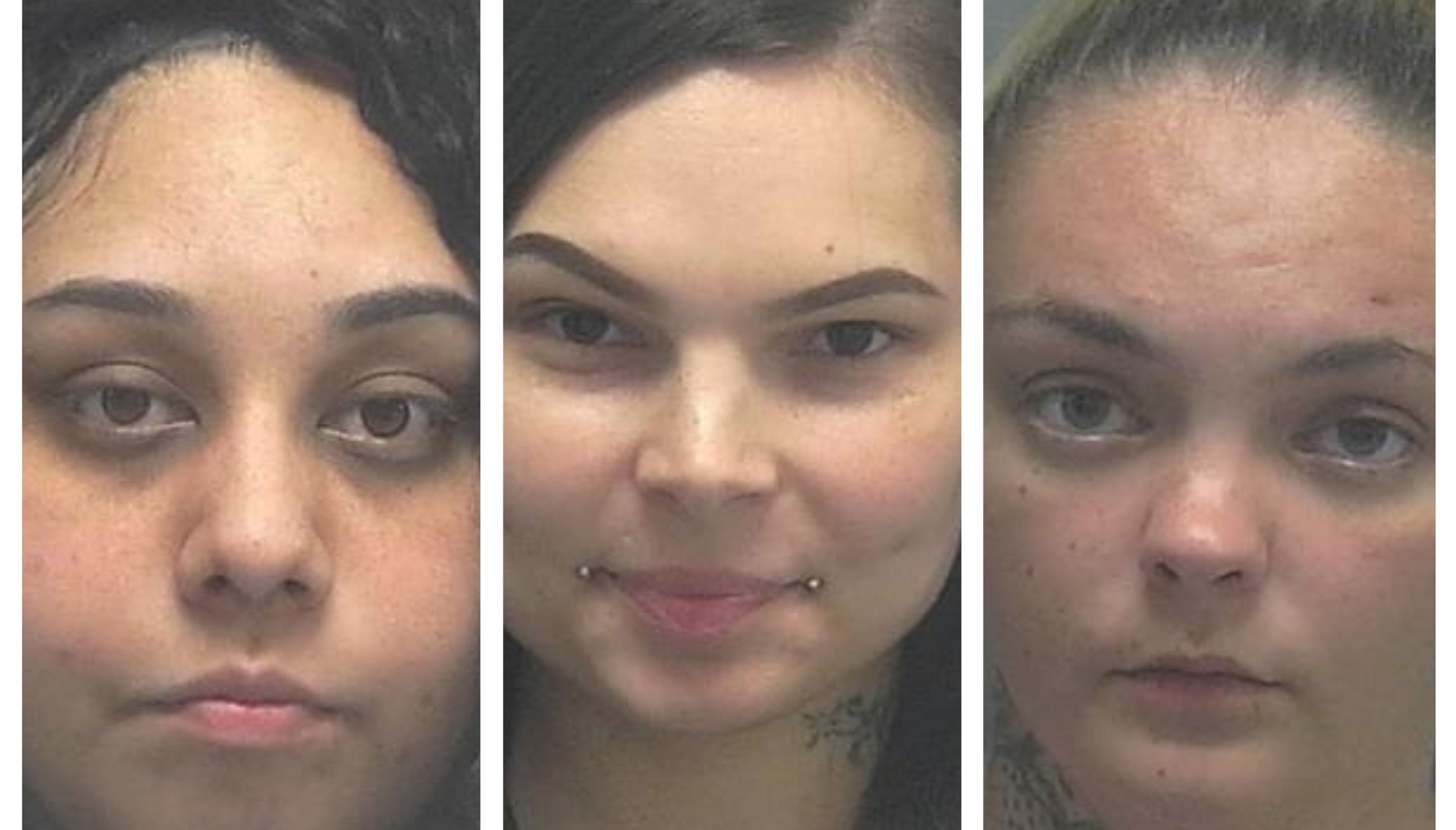 All-female gang taunted cops to 'do ya job' | Toronto Sun