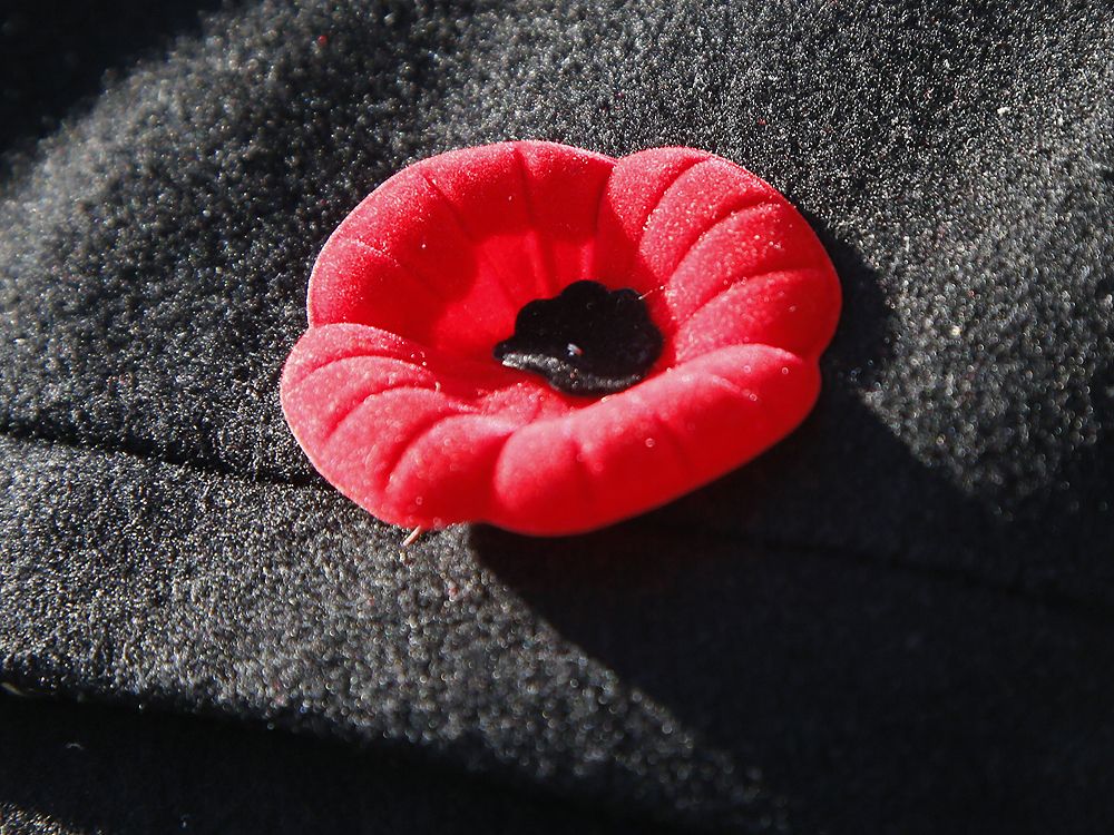 FUREY: The poppy problem is real — but there are solutions | Toronto Sun