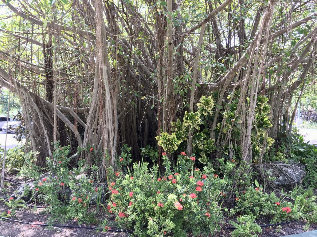 Bask in Bajan beauty at the Crane Resort | Toronto Sun