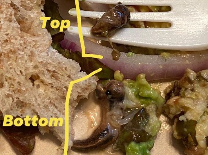 'IT WAS DISGUSTING': Woman bites into sandwich, finds dead parasitic ...