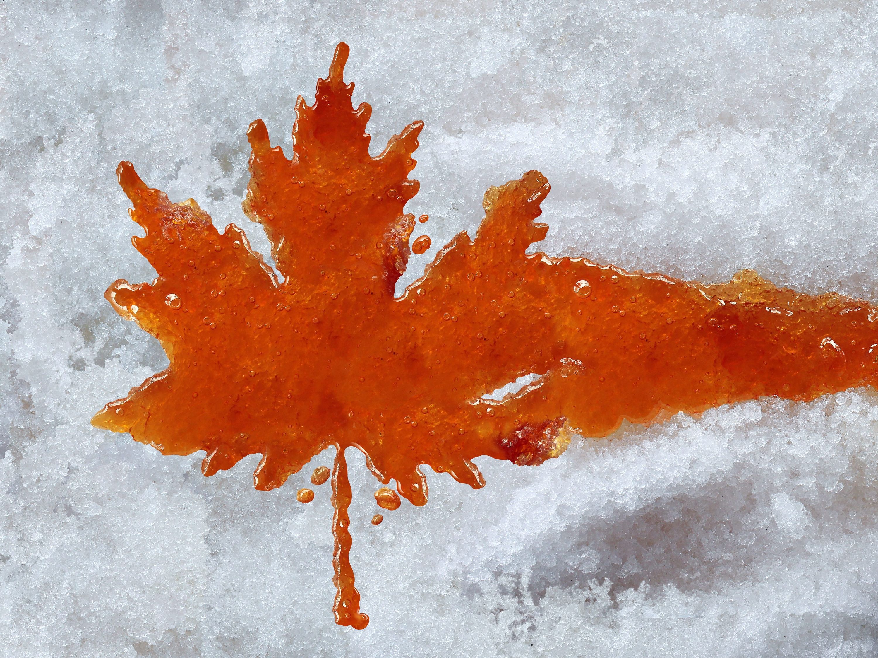 Maple syrup is Canada’s liquid gold | Toronto Sun
