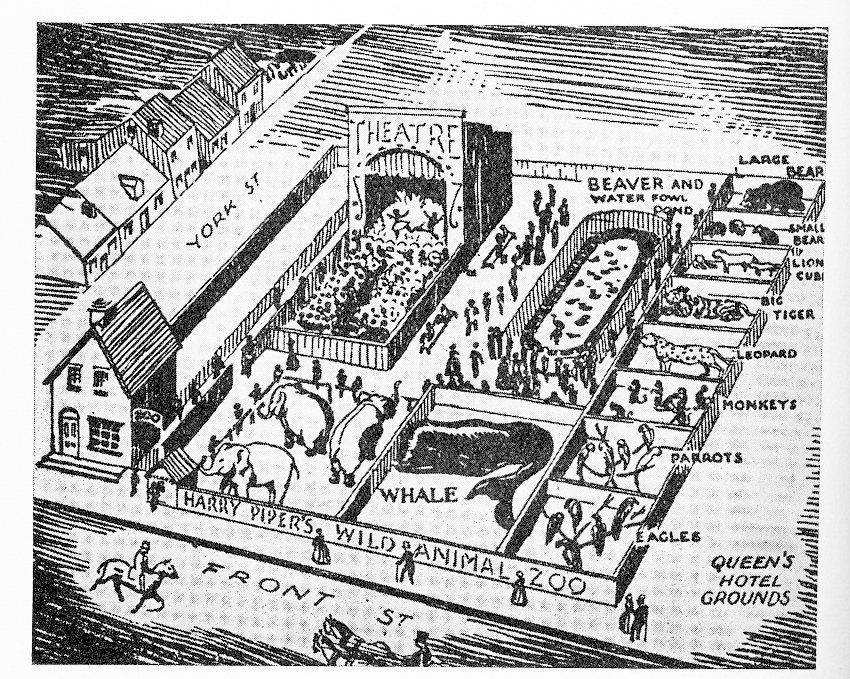 THE WAY WE WERE: Visitors had a whale of a time at Toronto's first zoo ...