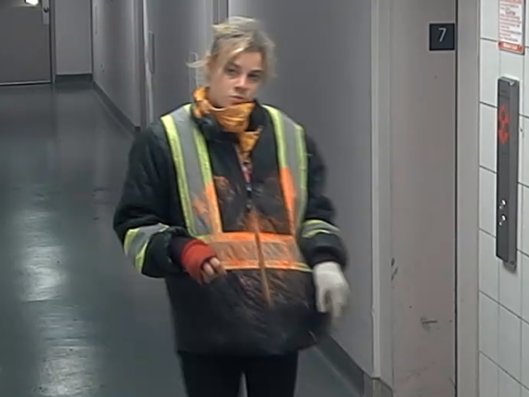 Hamilton police seeking woman in arson investigation | Toronto Sun