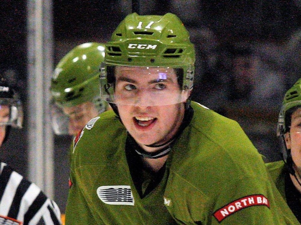 LEAFS PIPELINE: Big Justin Brazeau set to put ECHL tenure behind him ...
