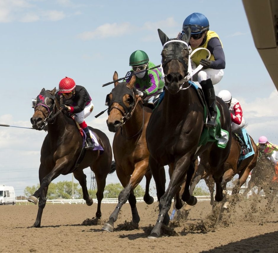New Woodbine regular Darryll Holland certainly not 'In Dutch' during ...