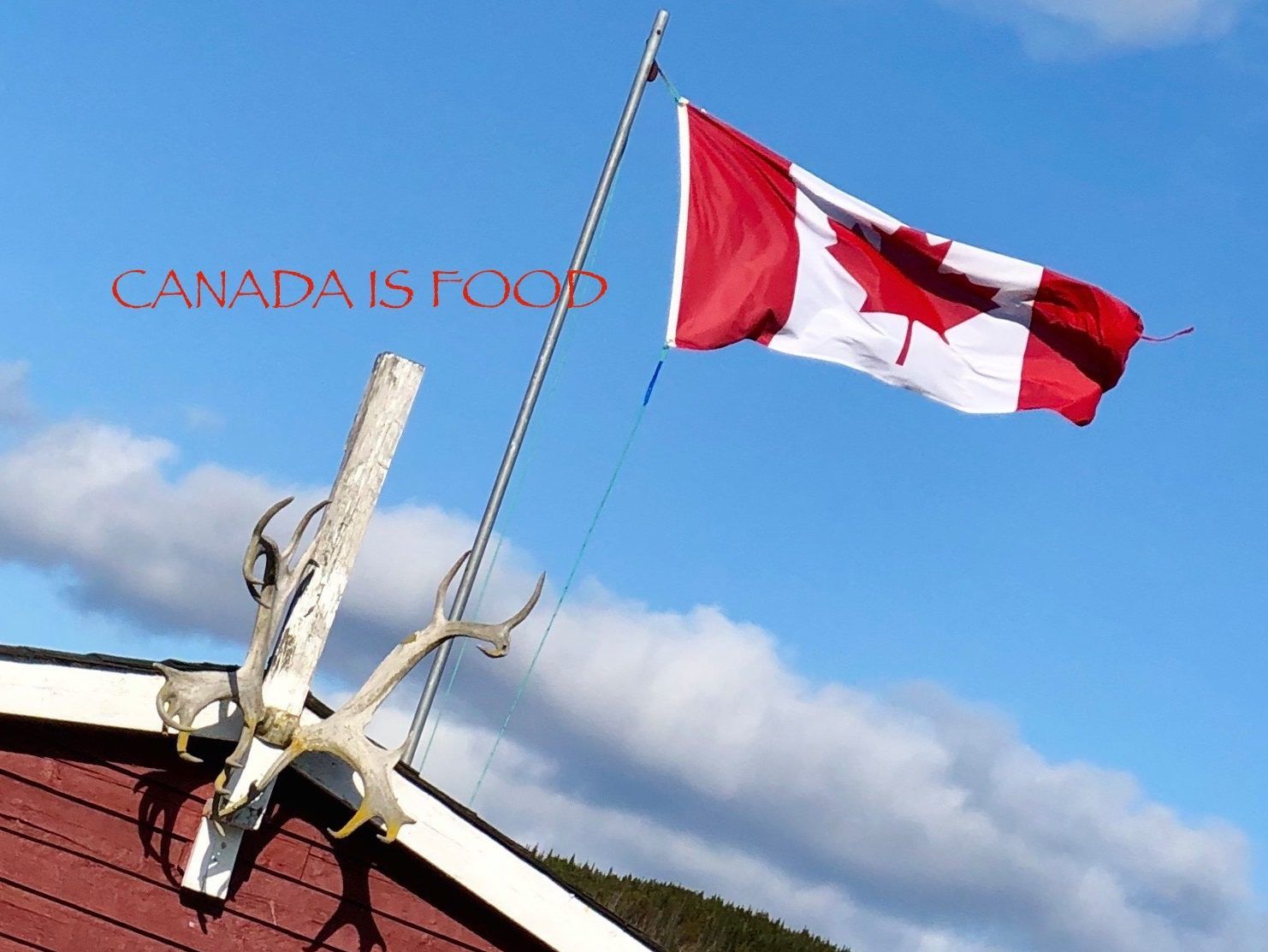 Celebrate Food Day Canada by enjoying the tastes and flavours of our ...