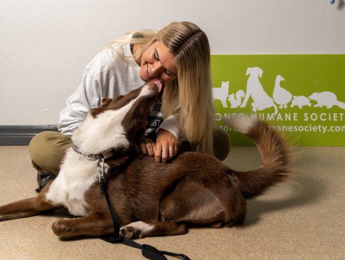 Toronto Humane Society's annual fundraiser goes virtual | Toronto Sun