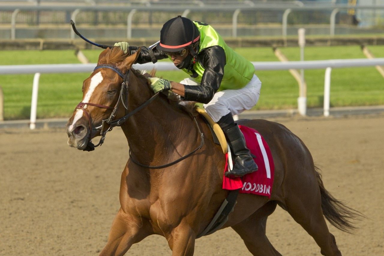 Curlin's Voyage wins the $500,000 Woodbine Oaks while Clayton captures ...