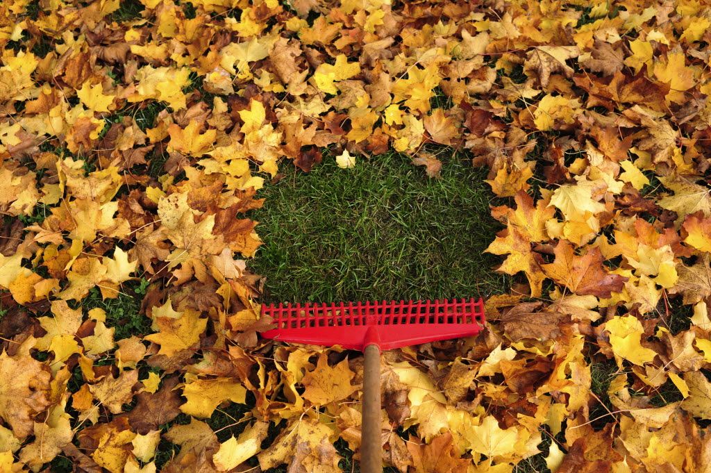 FALL GARDENERS: Top 5 mistakes and how to correct them | Toronto Sun
