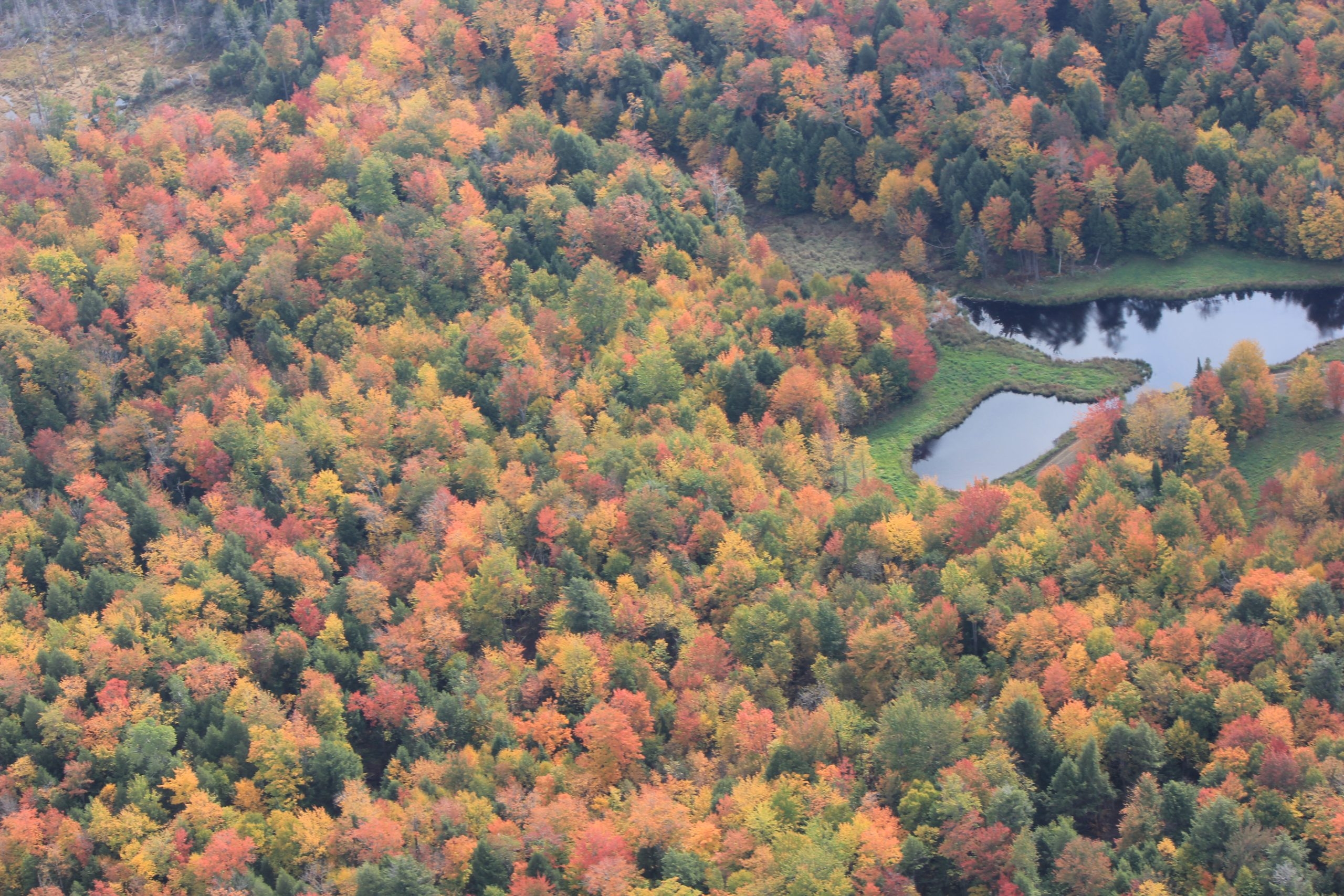 RISE UP FOR FALL: Ontario sight-seeing offers unique perspective of ...