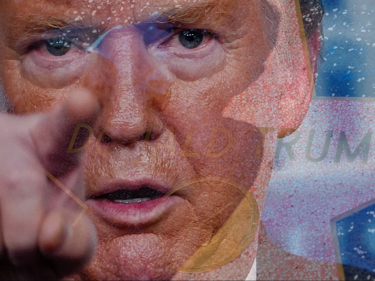 TRUMP CELEB SUPPORTERS: Make Hollywood great again! | Toronto Sun