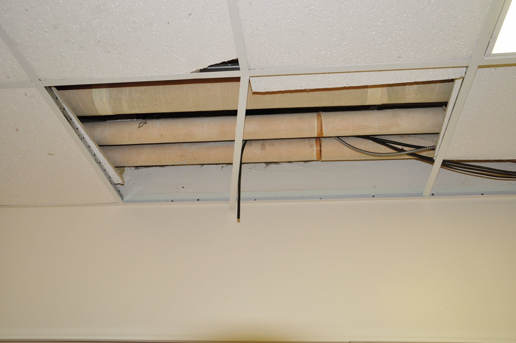 Man found living in Nevada grocery arrested after falling through store ...