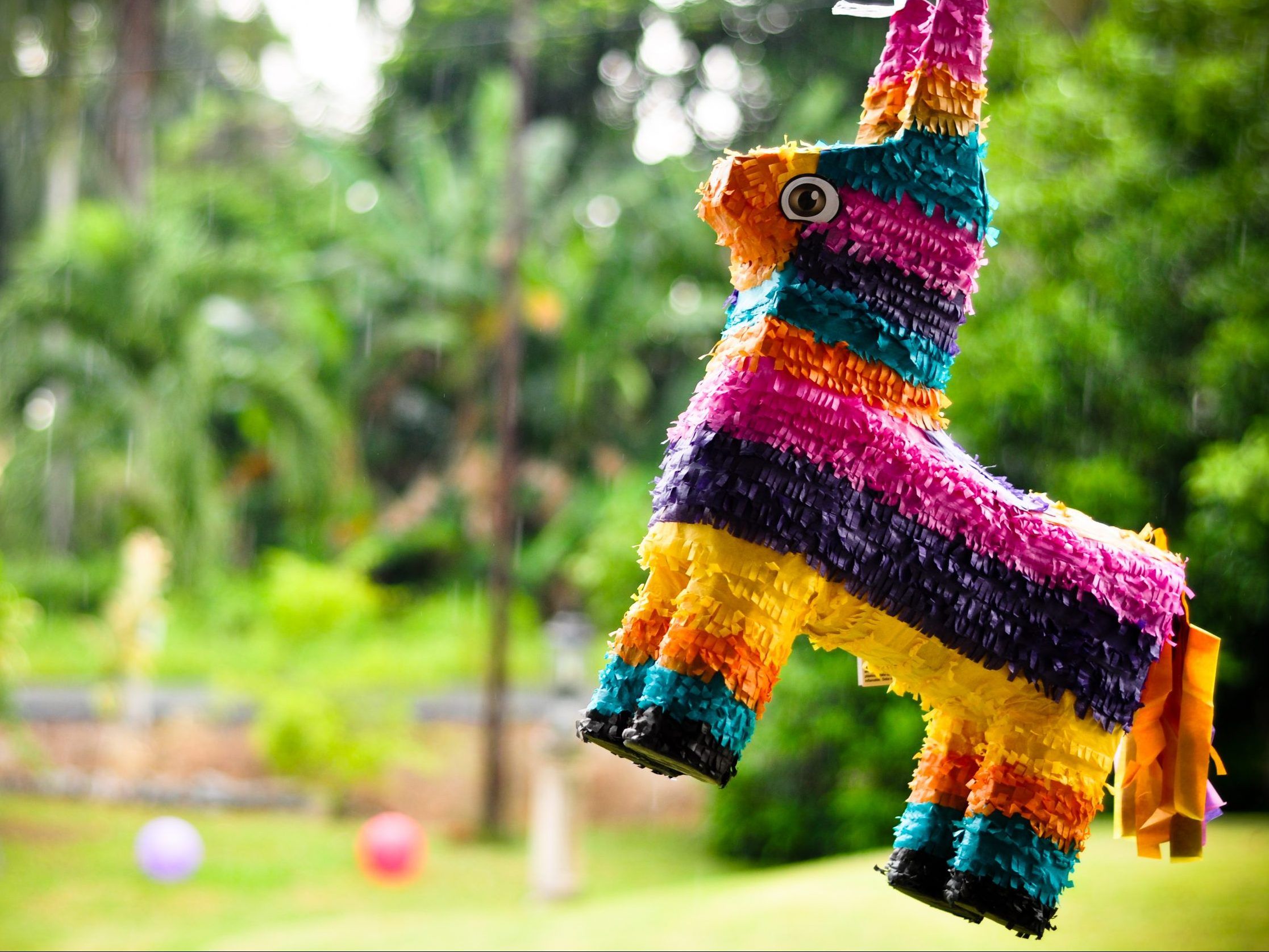 ASK AMY: Generous man was played for a pinata | Toronto Sun