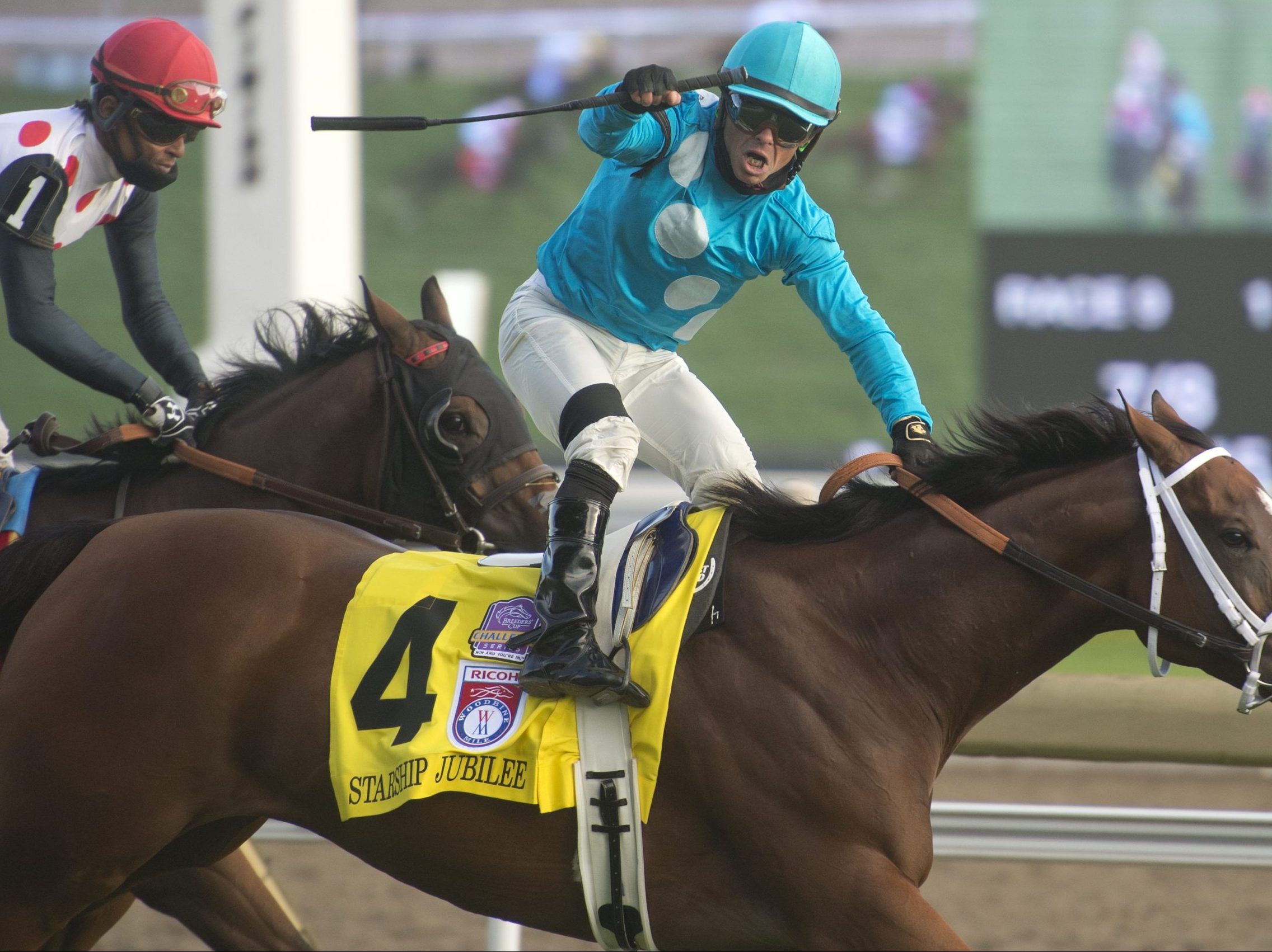 Starship Jubilee's trainer Kevin Attard hoping for a sweet ending for ...