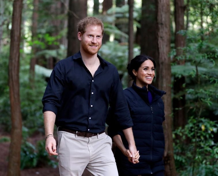 SCARY PRINCE HARRY: Royally confused about COVID-19 | Owen Sound Sun Times