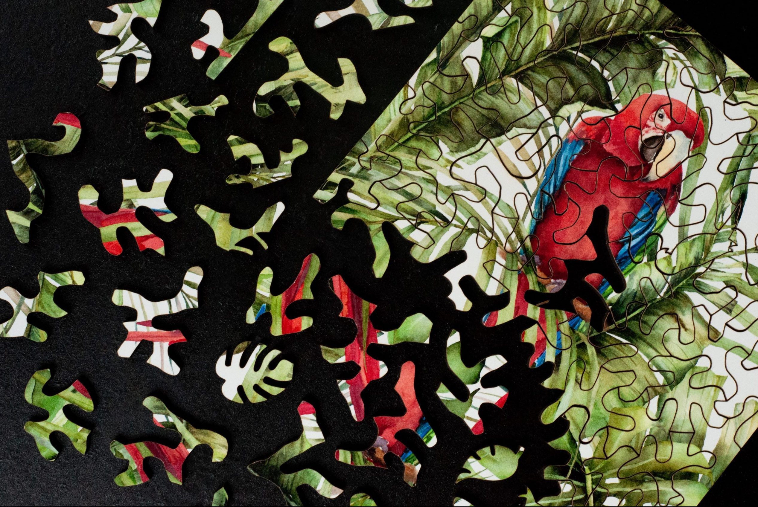 Popularity of pandemic puzzles a puzzling affair | Toronto Sun