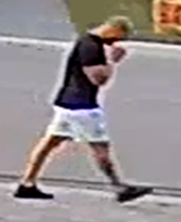 Images of persons of interest released in Brampton cemetery shooting ...