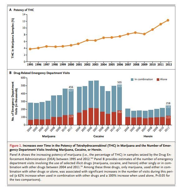 'Hash' potency increased by 25% over the last 50 years: U.K. study ...