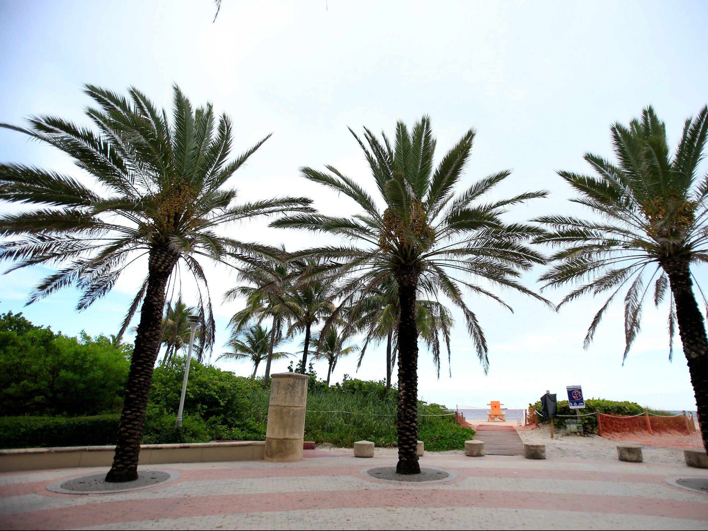 Florida now America's leader in 'super COVID' cases | Toronto Sun