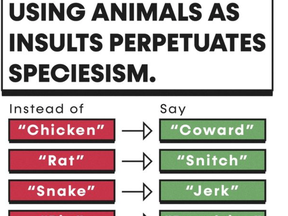 PETA mocked for telling people to stop using animals as insults ...